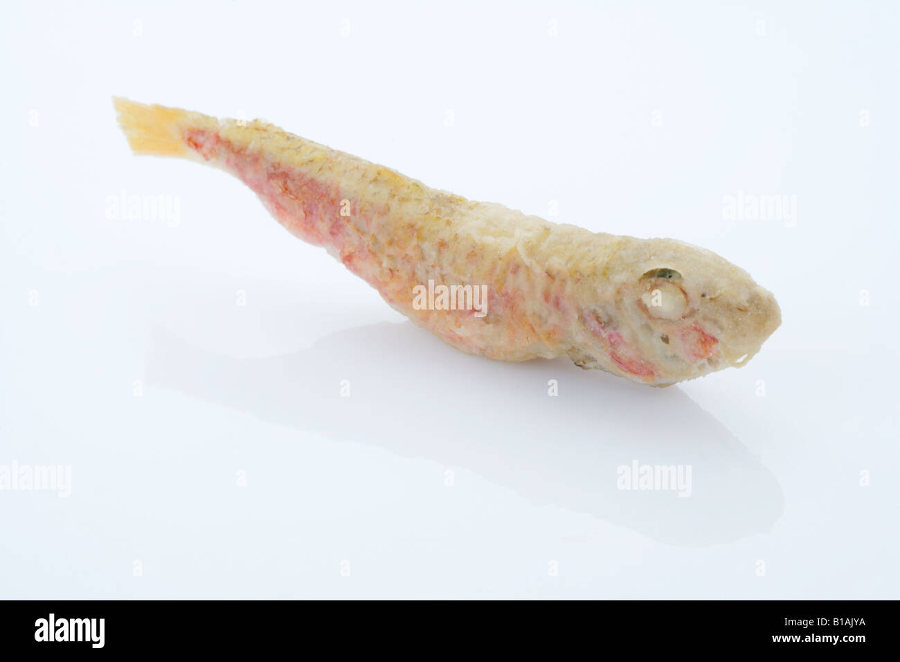 Fried red mullet Stock Photo - Alamy