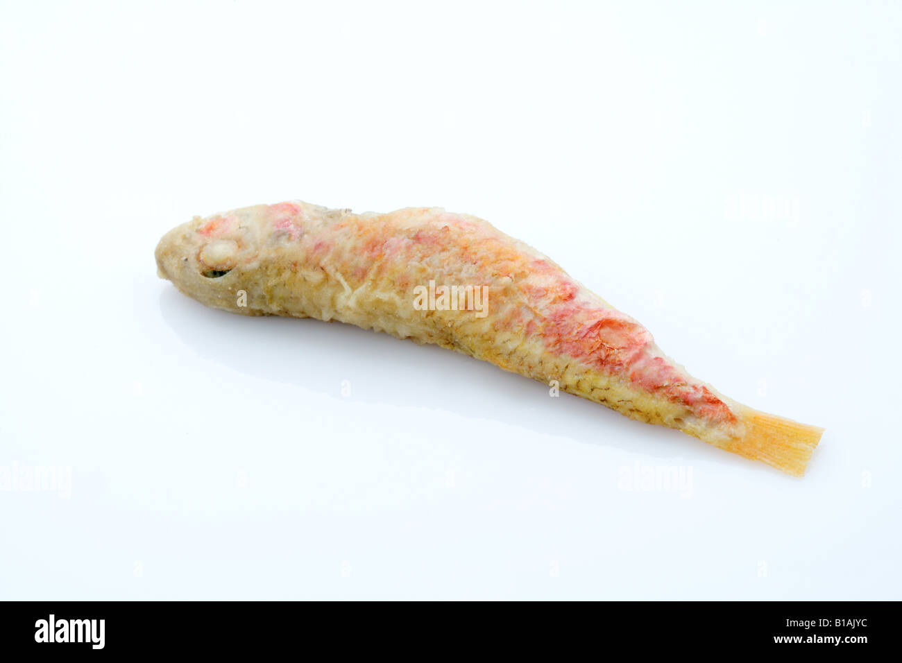 Fried red mullet Stock Photo - Alamy