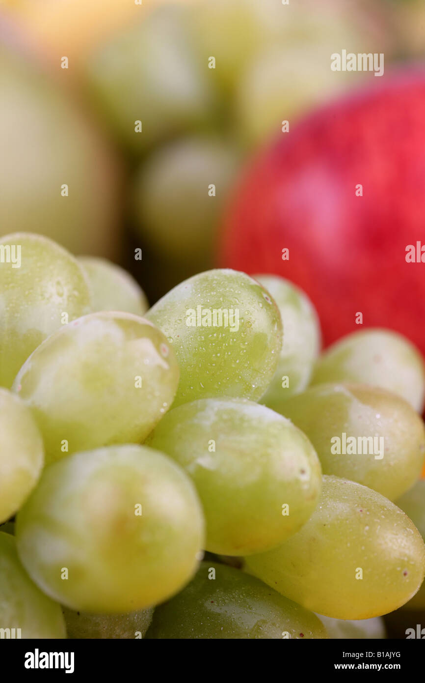 Grapes close up Stock Photo - Alamy