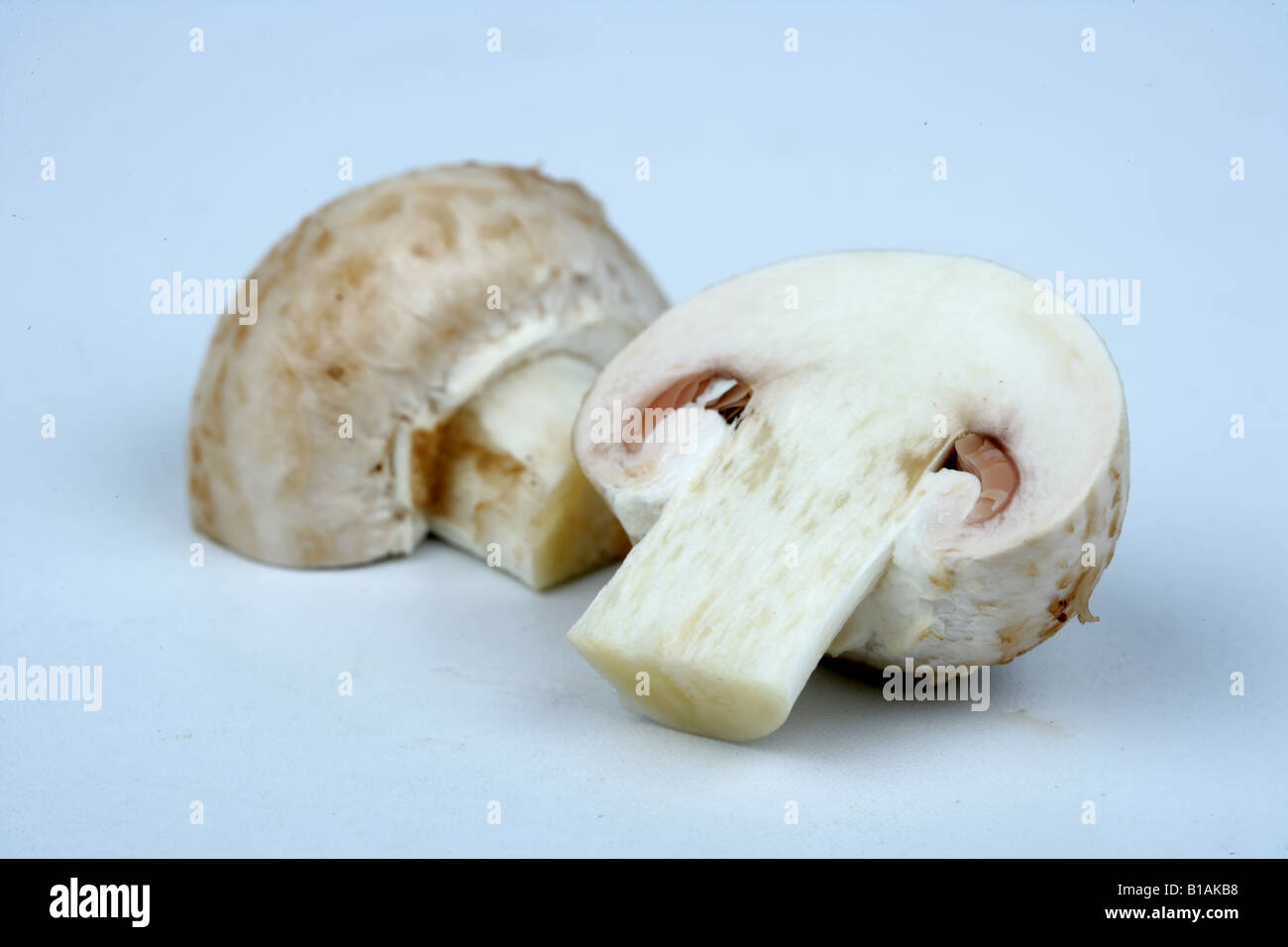 Sliced button mushroom Stock Photo - Alamy