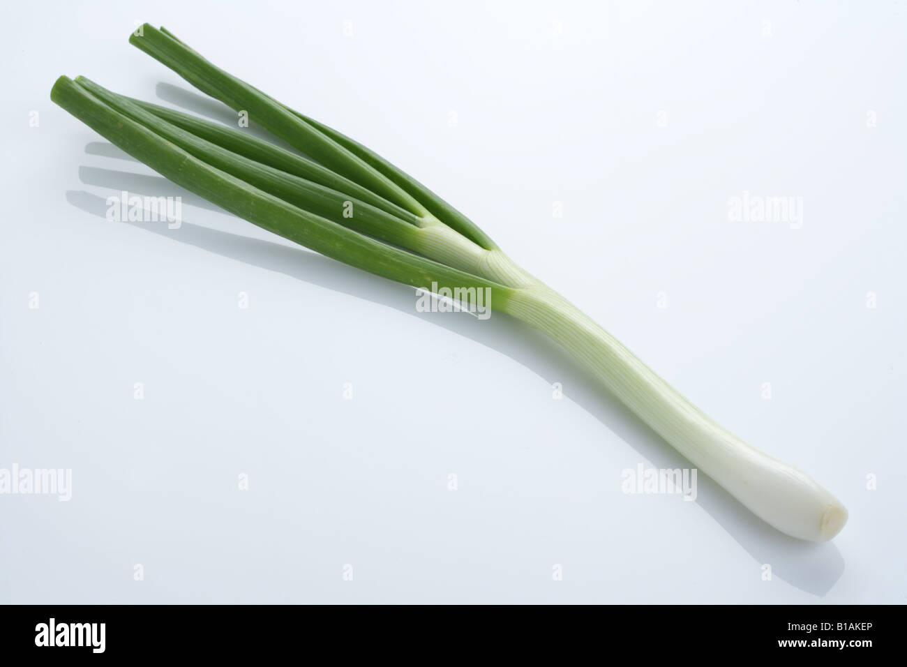 Young spring onions, green onions Stock Photo - Alamy