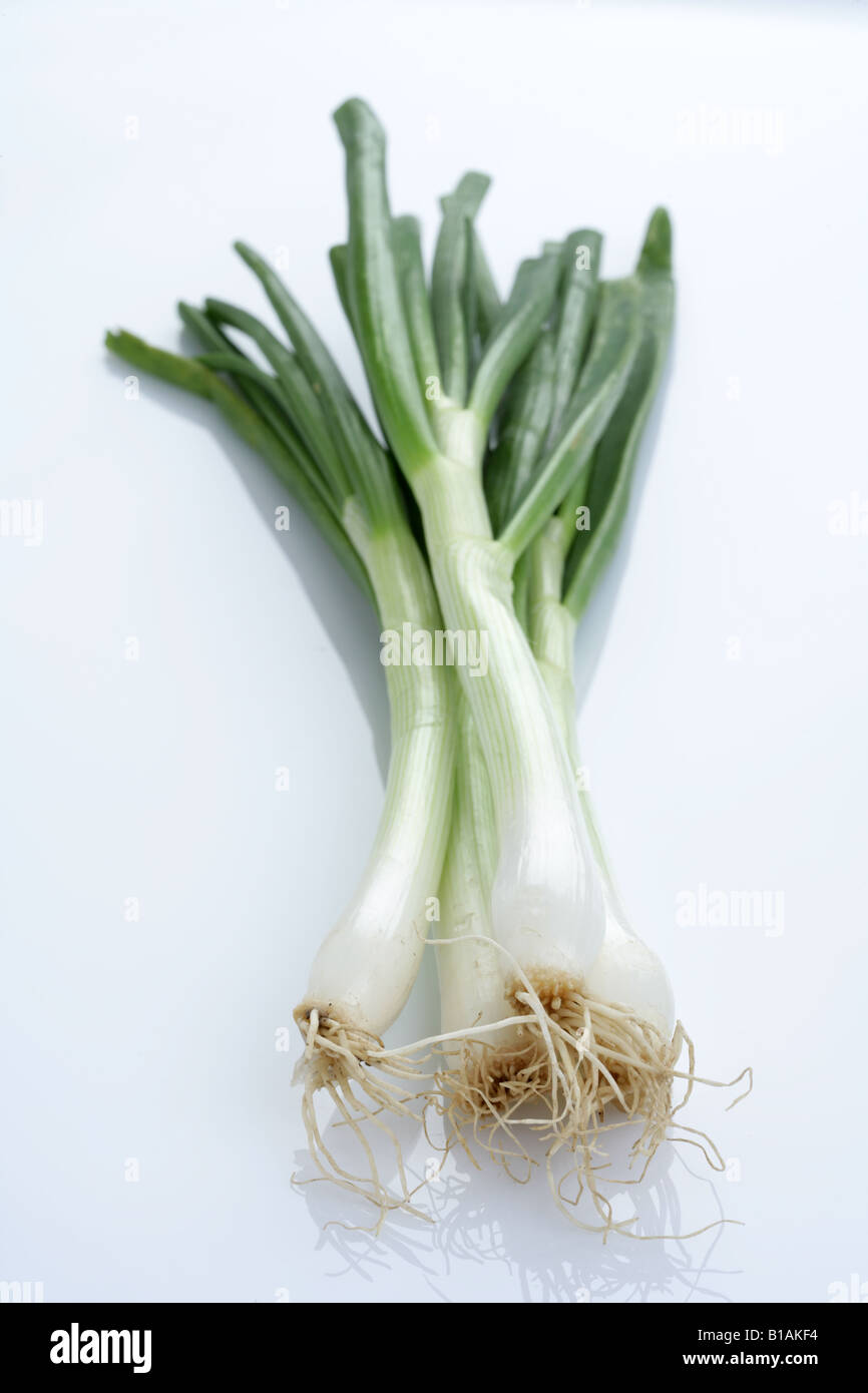 Young spring onions, green onions Stock Photo - Alamy