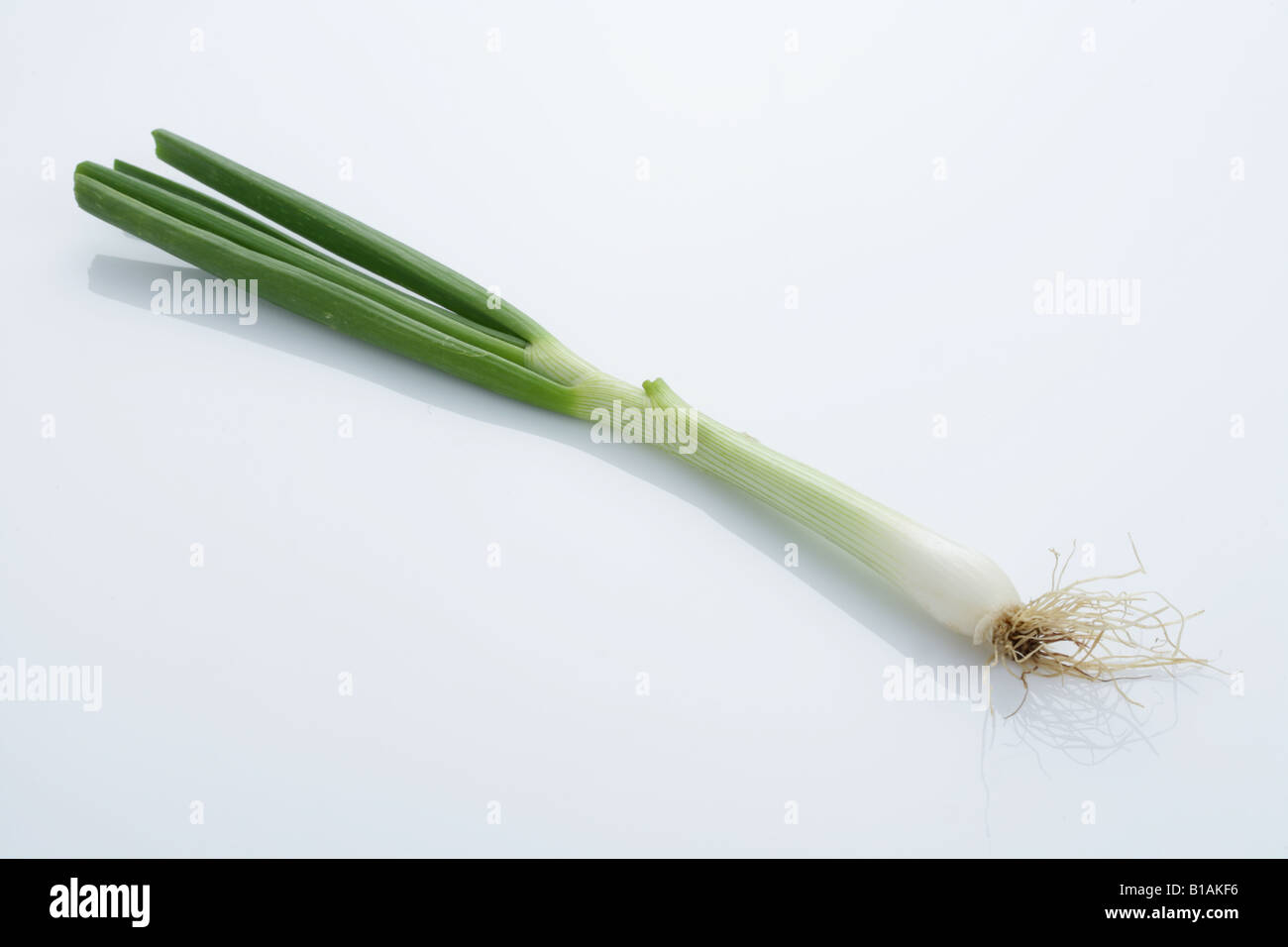 Young spring onions, green onions Stock Photo - Alamy