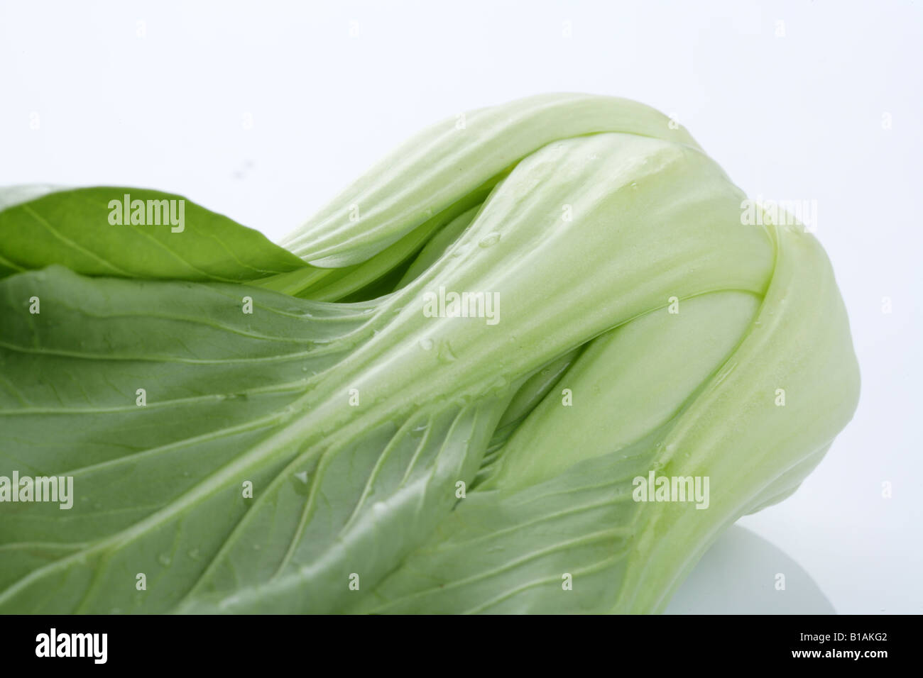 Pac choi hi-res stock photography and images - Alamy