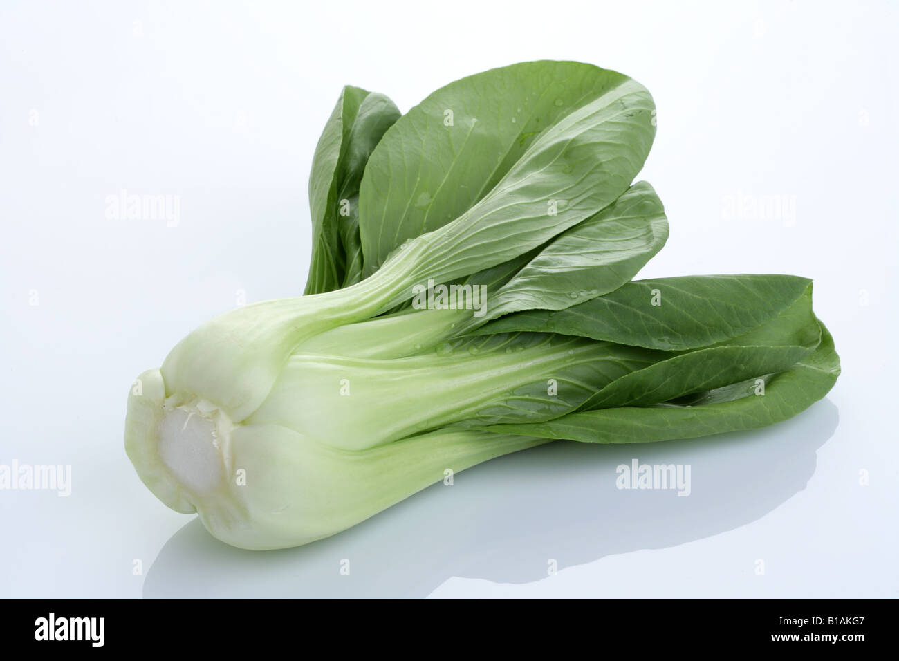 Pac choi hi-res stock photography and images - Alamy