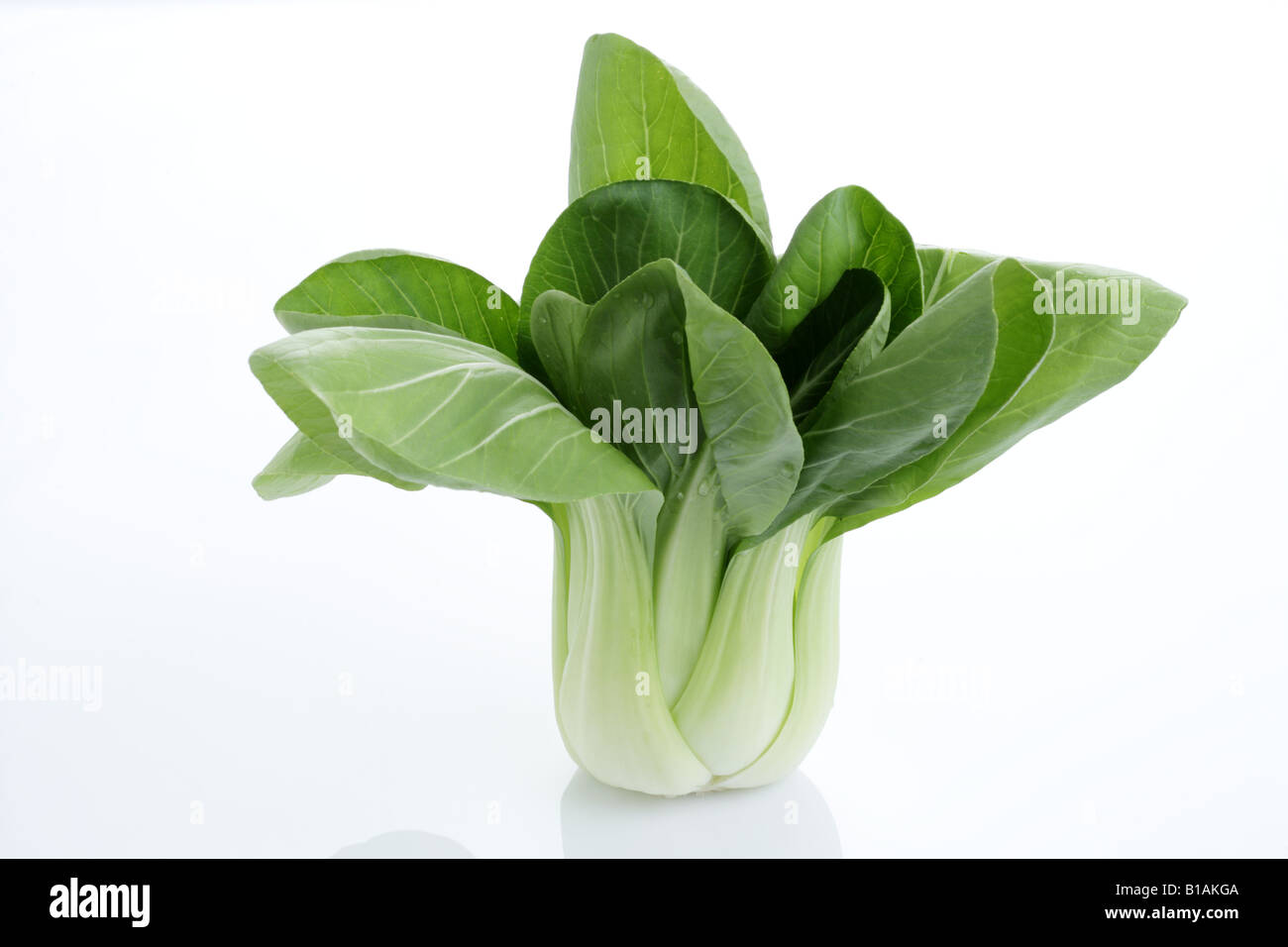 Pac choi hi-res stock photography and images - Alamy