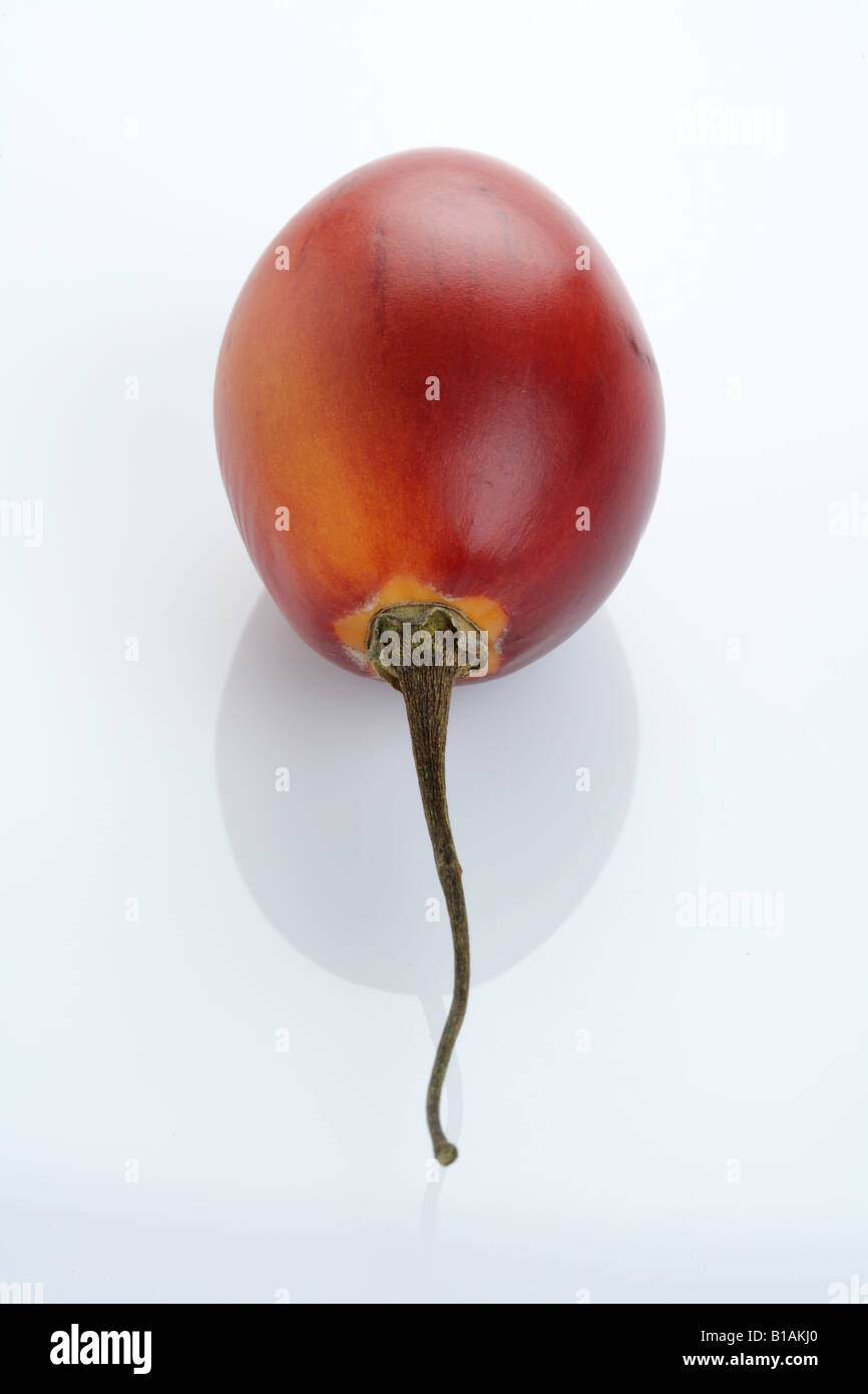 Tamarillo, tree tomato Stock Photo - Alamy