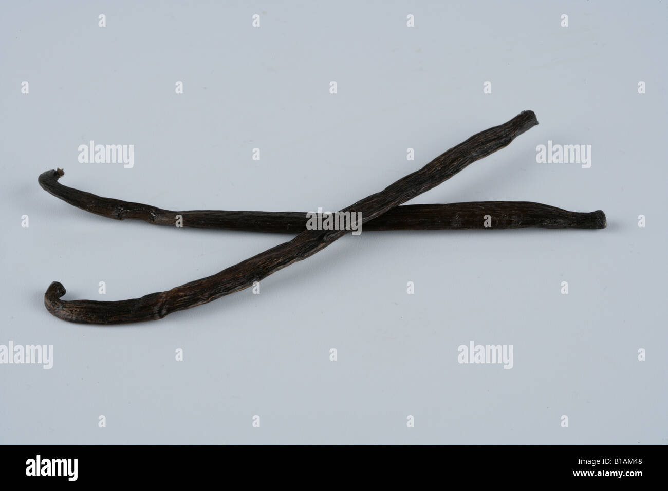 Vanilla pods on white background Stock Photo - Alamy