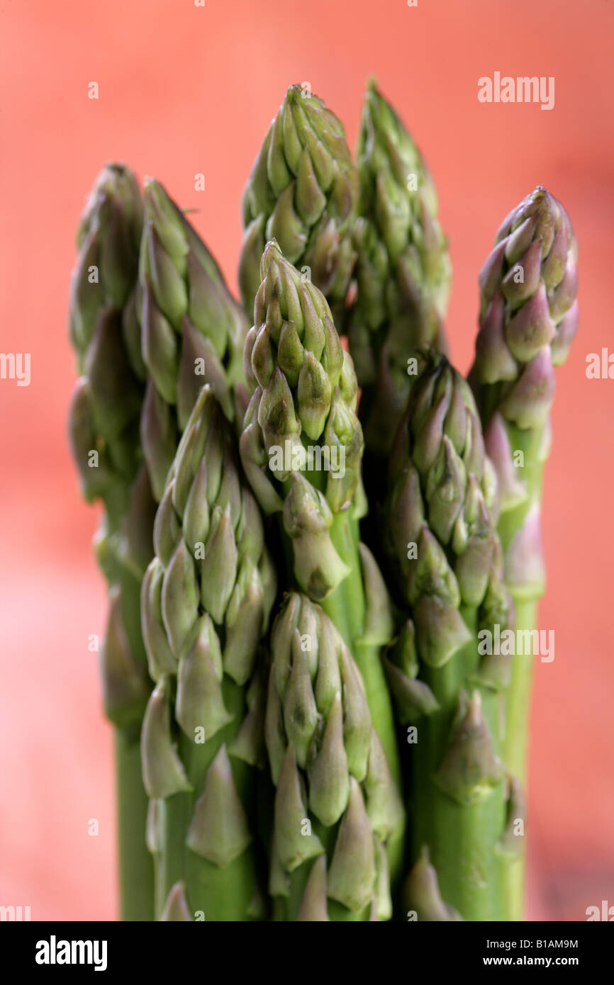Asparagus tops hi-res stock photography and images - Alamy