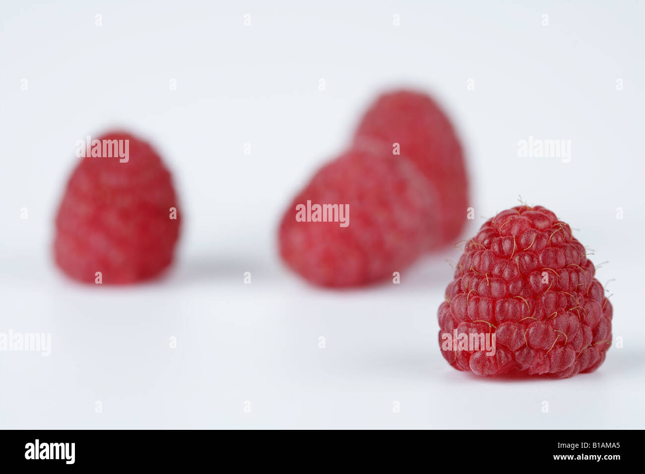 Four raspberries on white background Stock Photo - Alamy