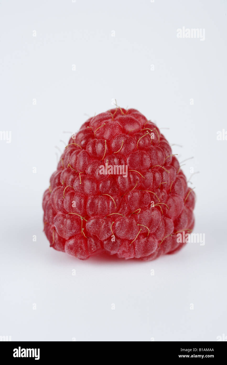 One raspberry on white background Stock Photo - Alamy