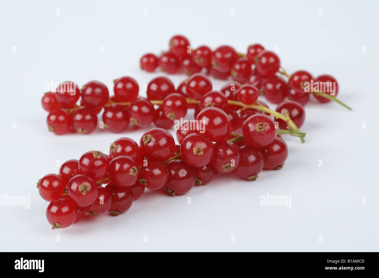 Redcurrant bunches hi-res stock photography and images - Alamy