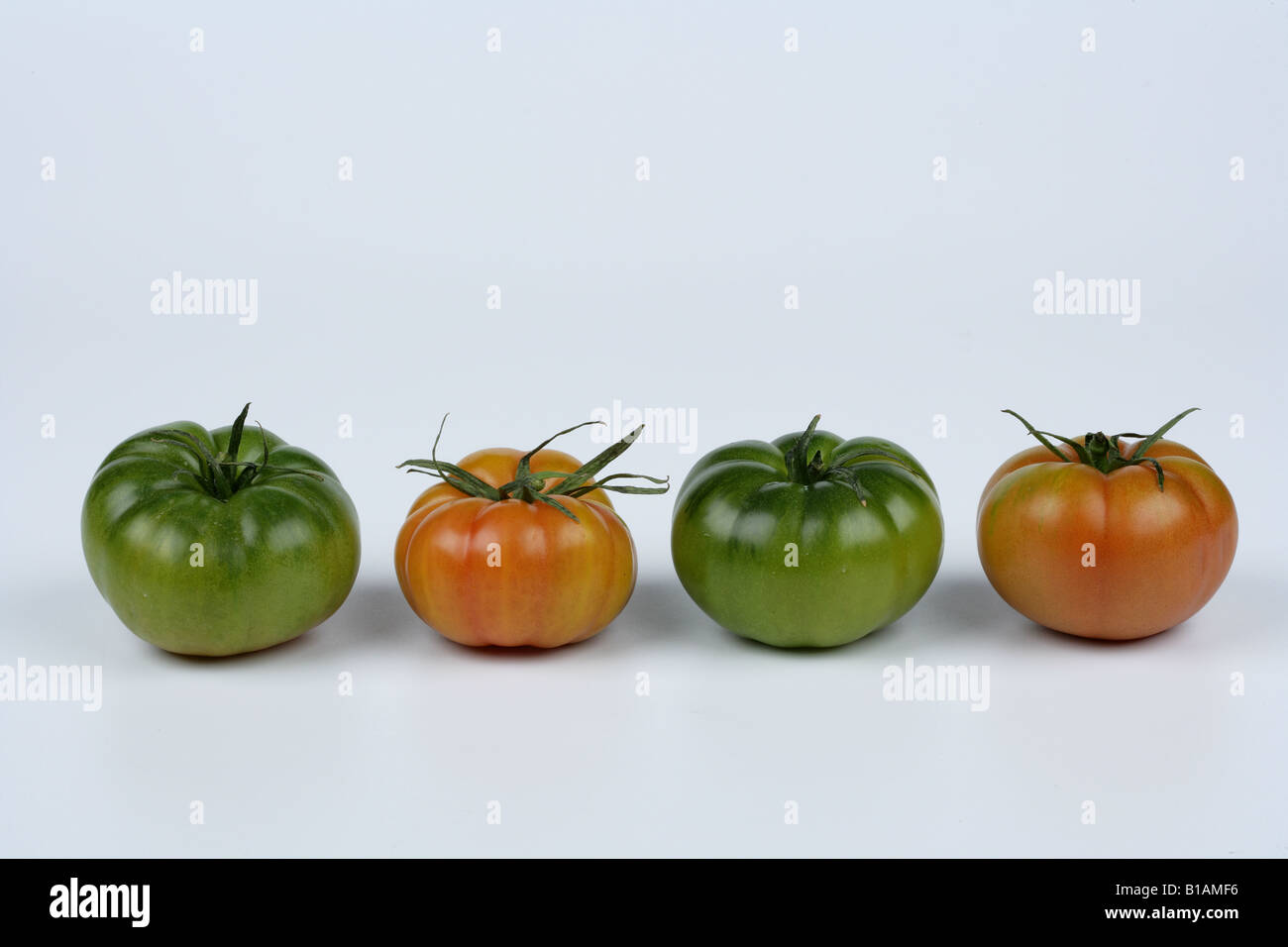Four tomatoes (two red and two green) on white background Stock Photo ...