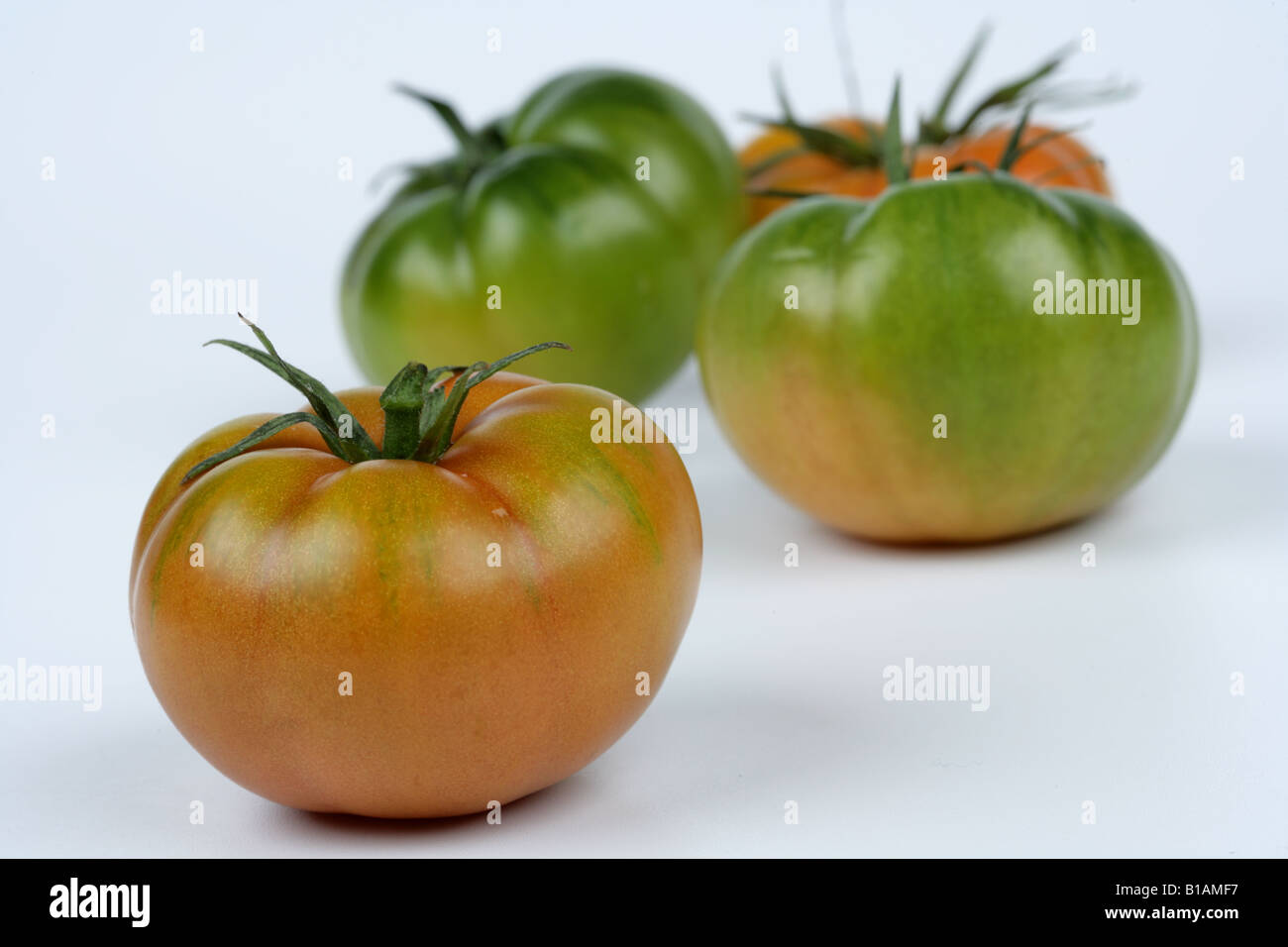 Four tomatoes (two red and two green) on white background Stock Photo ...