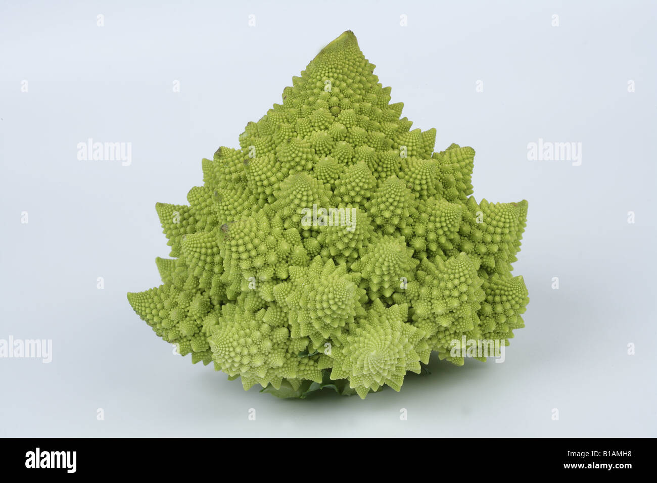 Romanesco bunches on white background Stock Photo - Alamy