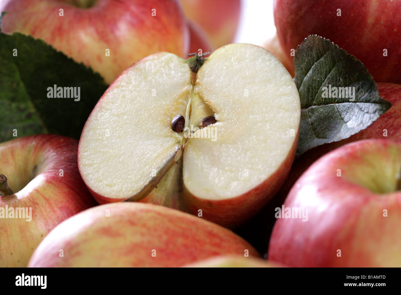 Piled Royal Gala apples, one of them cut in half (close up Stock Photo ...