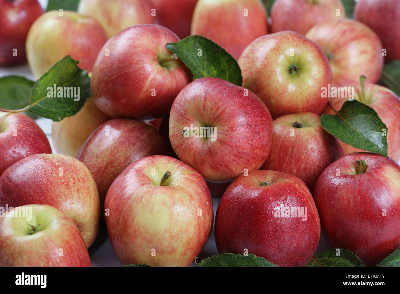 Piled Royal Gala apples Stock Photo - Alamy