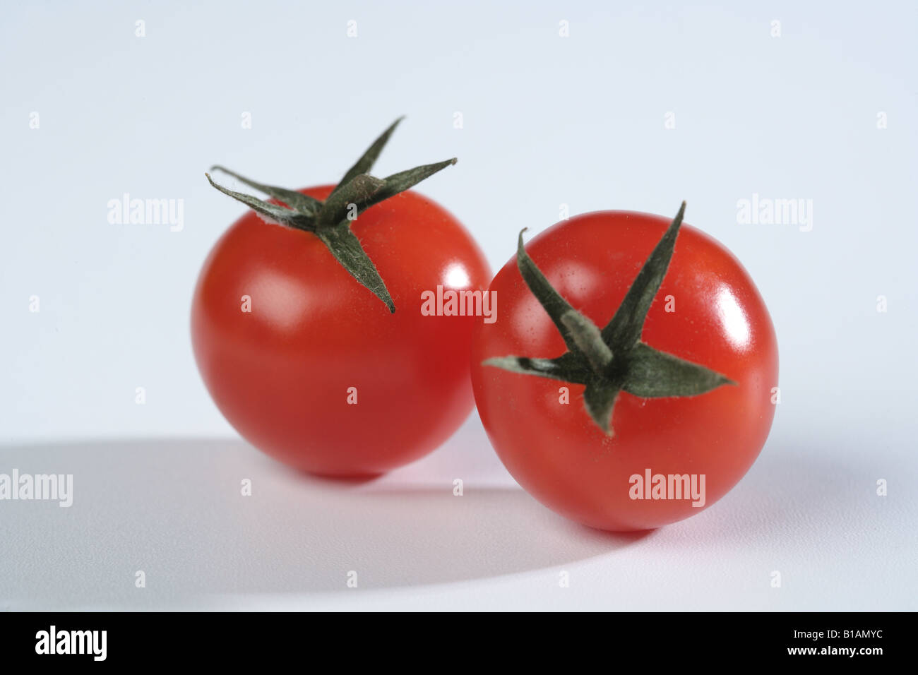 Two small red tomatoes on white background Stock Photo - Alamy