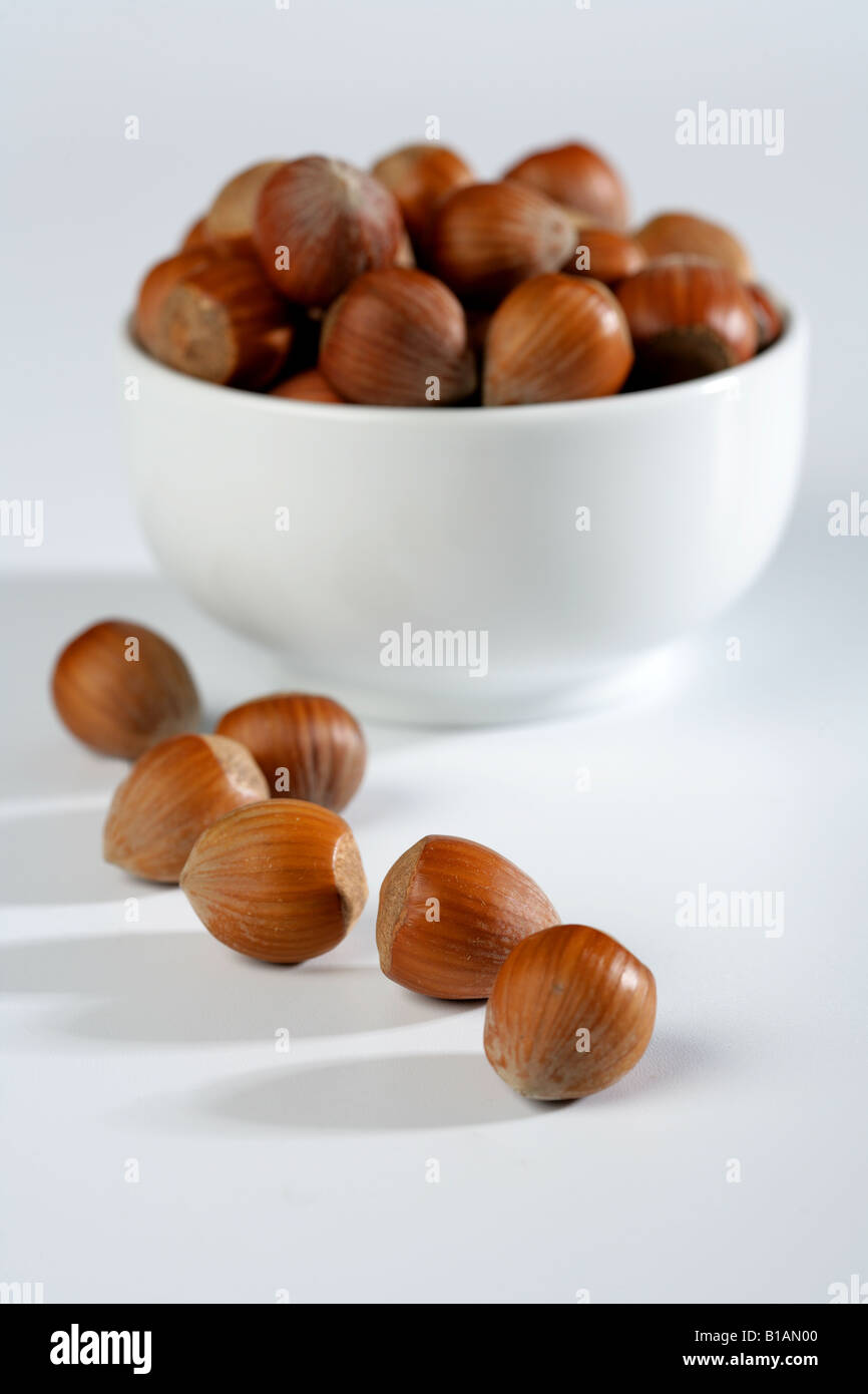 Hazelnuts on a bowl and in a row on white background Stock Photo - Alamy