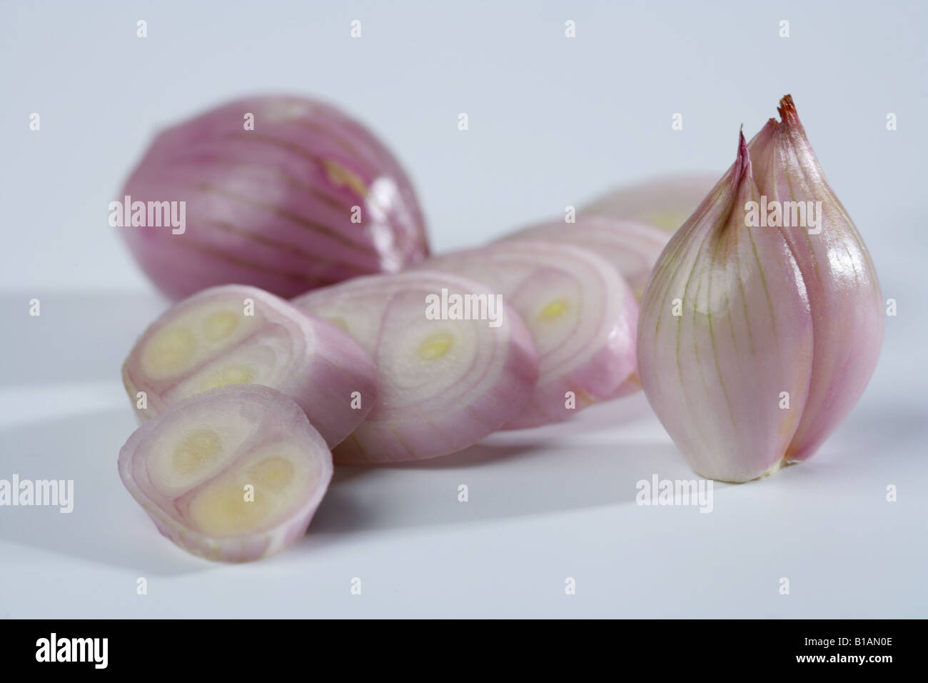 Peeled scallions hi-res stock photography and images - Alamy