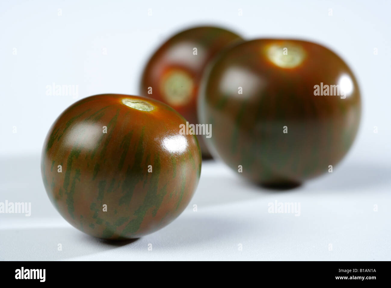 Tiger tomatoes hi-res stock photography and images - Alamy