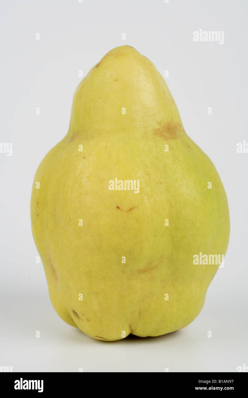 Whole f hi-res stock photography and images - Alamy