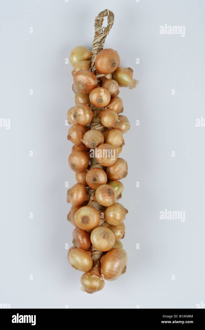 String of French small onions Stock Photo - Alamy