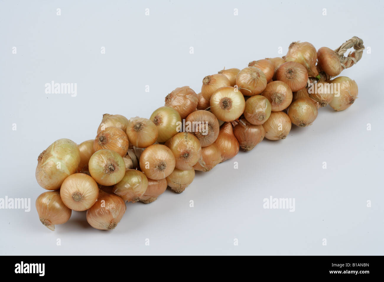 String of French small onions Stock Photo - Alamy