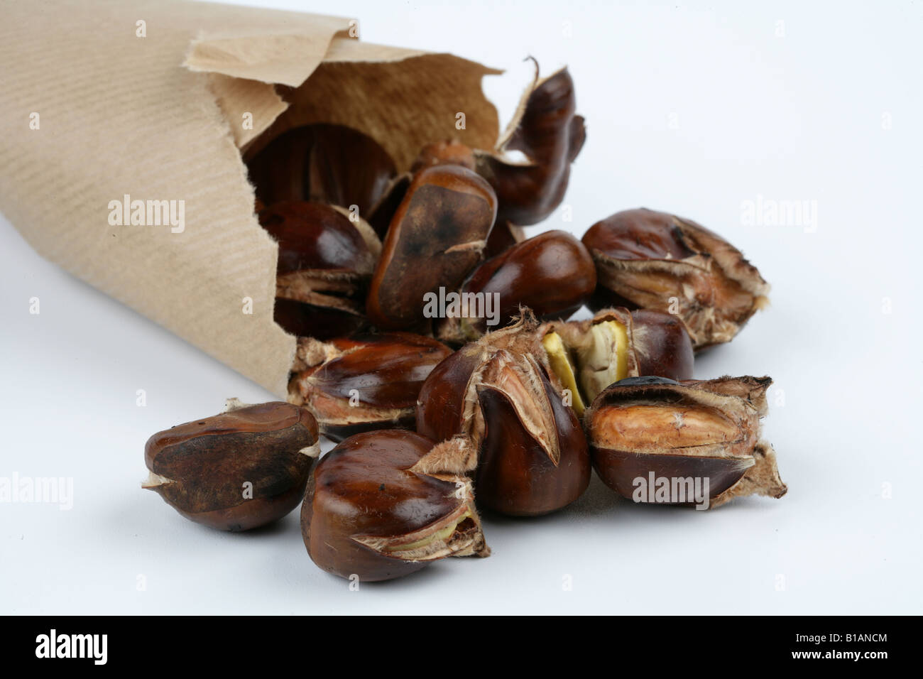 Roasted chestnuts in white hi-res stock photography and images - Alamy