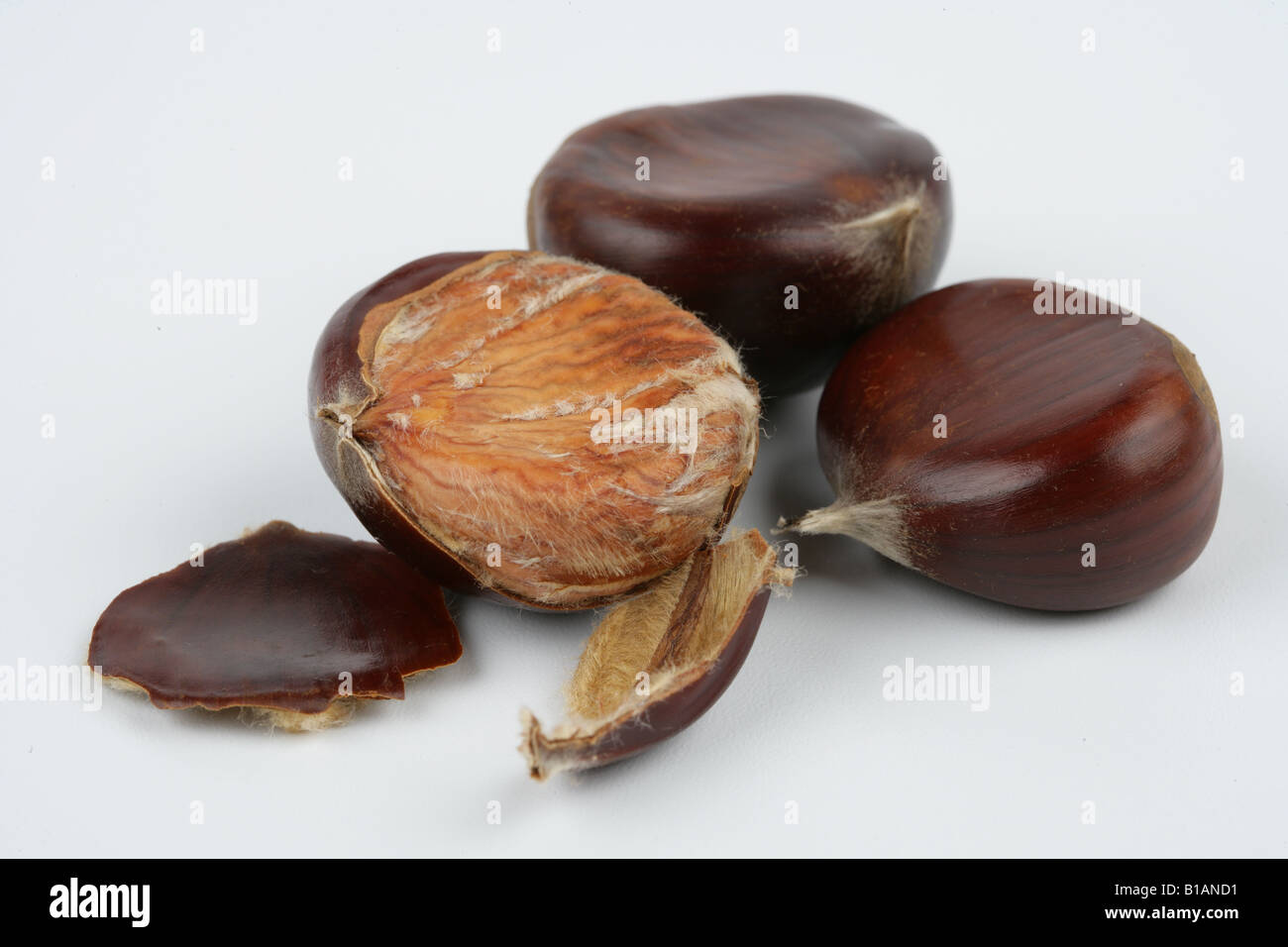 Half-peeled chestnut on white background, two unpeeled Stock Photo - Alamy
