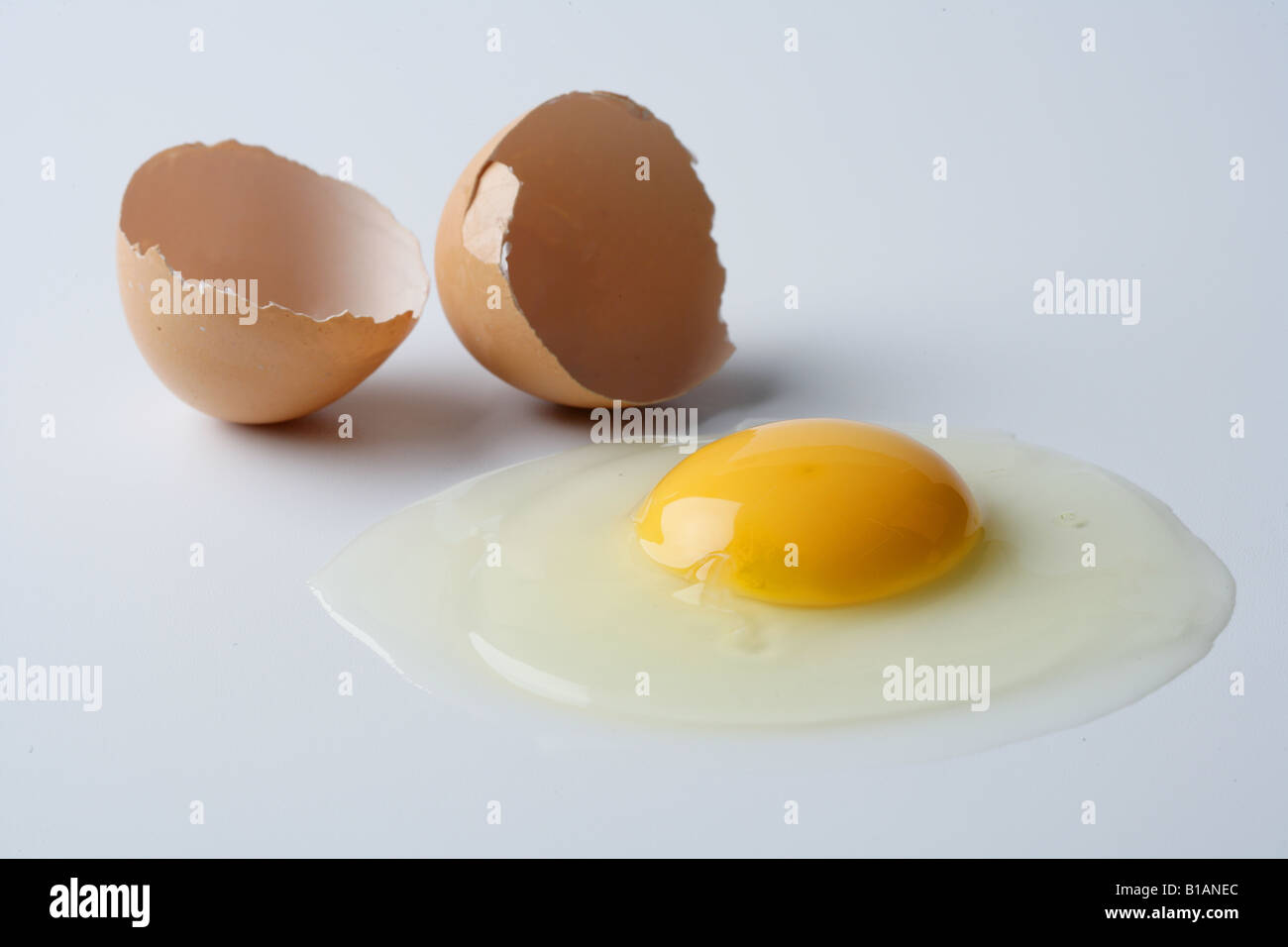 Raw egg on white background with its shell aside Stock Photo - Alamy