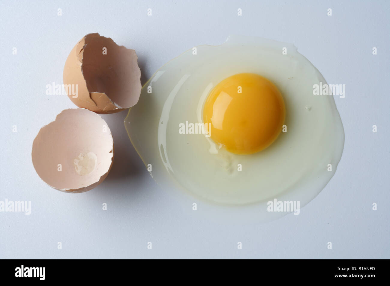 Raw egg on white background with its shell Stock Photo - Alamy