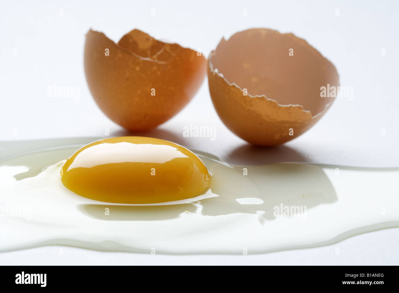 Raw egg on white background with its shell beside Stock Photo - Alamy