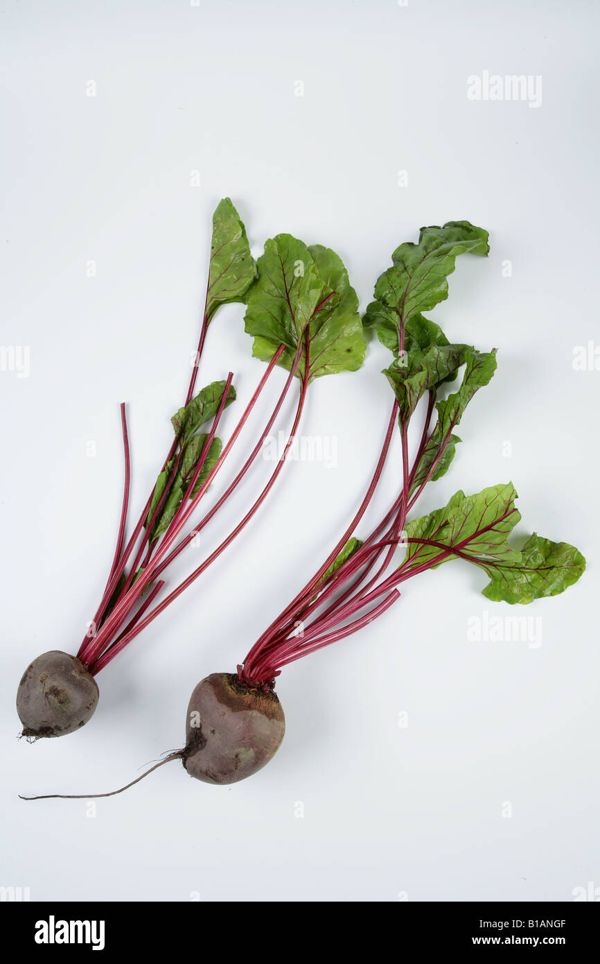 Fresh beetroots on white background Stock Photo - Alamy
