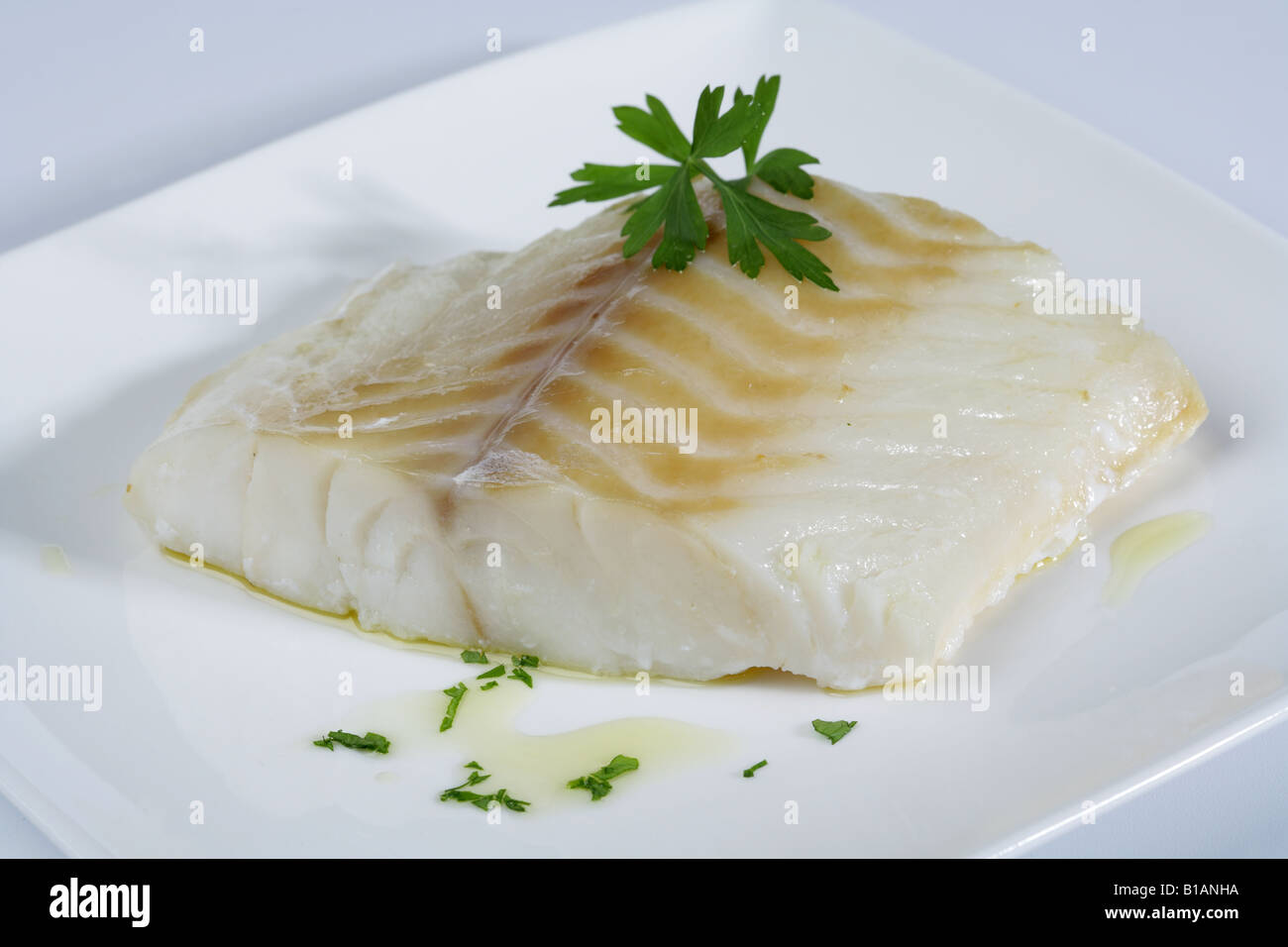 Desalted cod loin in a white square plate Stock Photo - Alamy