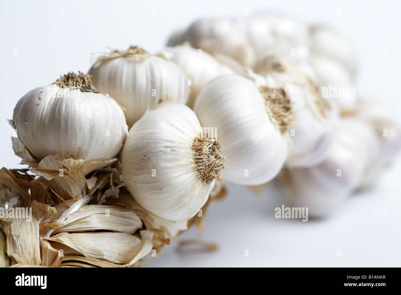 String of garlic (detail Stock Photo - Alamy