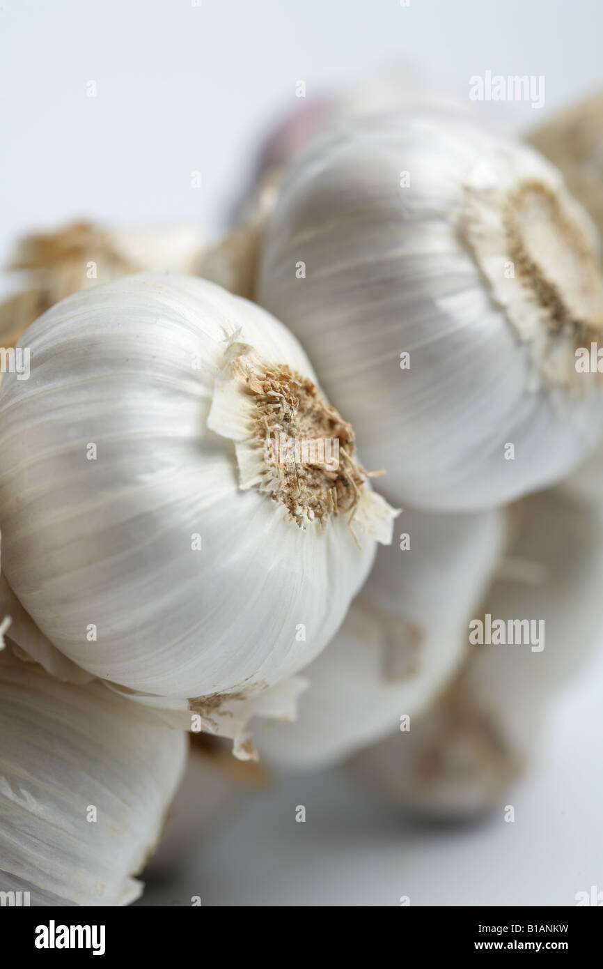 String of garlic Stock Photo - Alamy