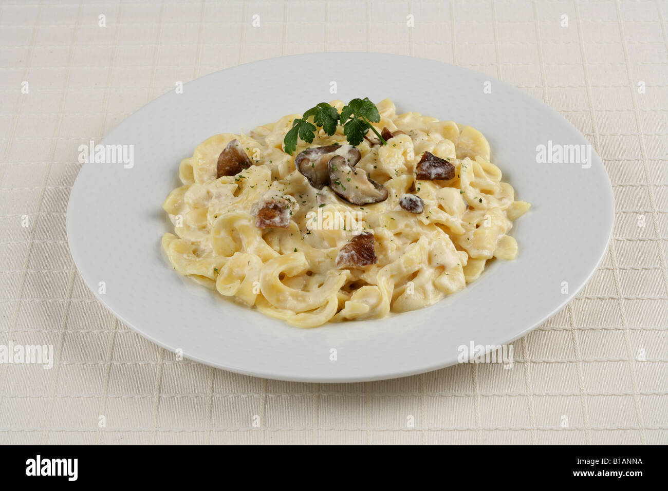 Tagliatelle al funghi (pasta with wild mushrooms Stock Photo - Alamy