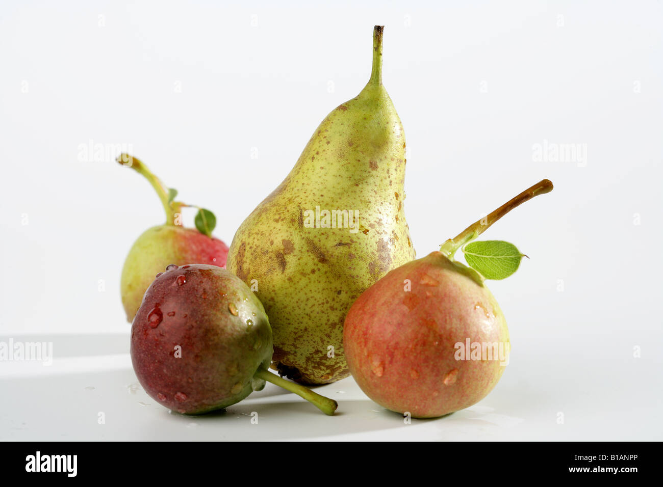 Castell and conference types pears Stock Photo - Alamy