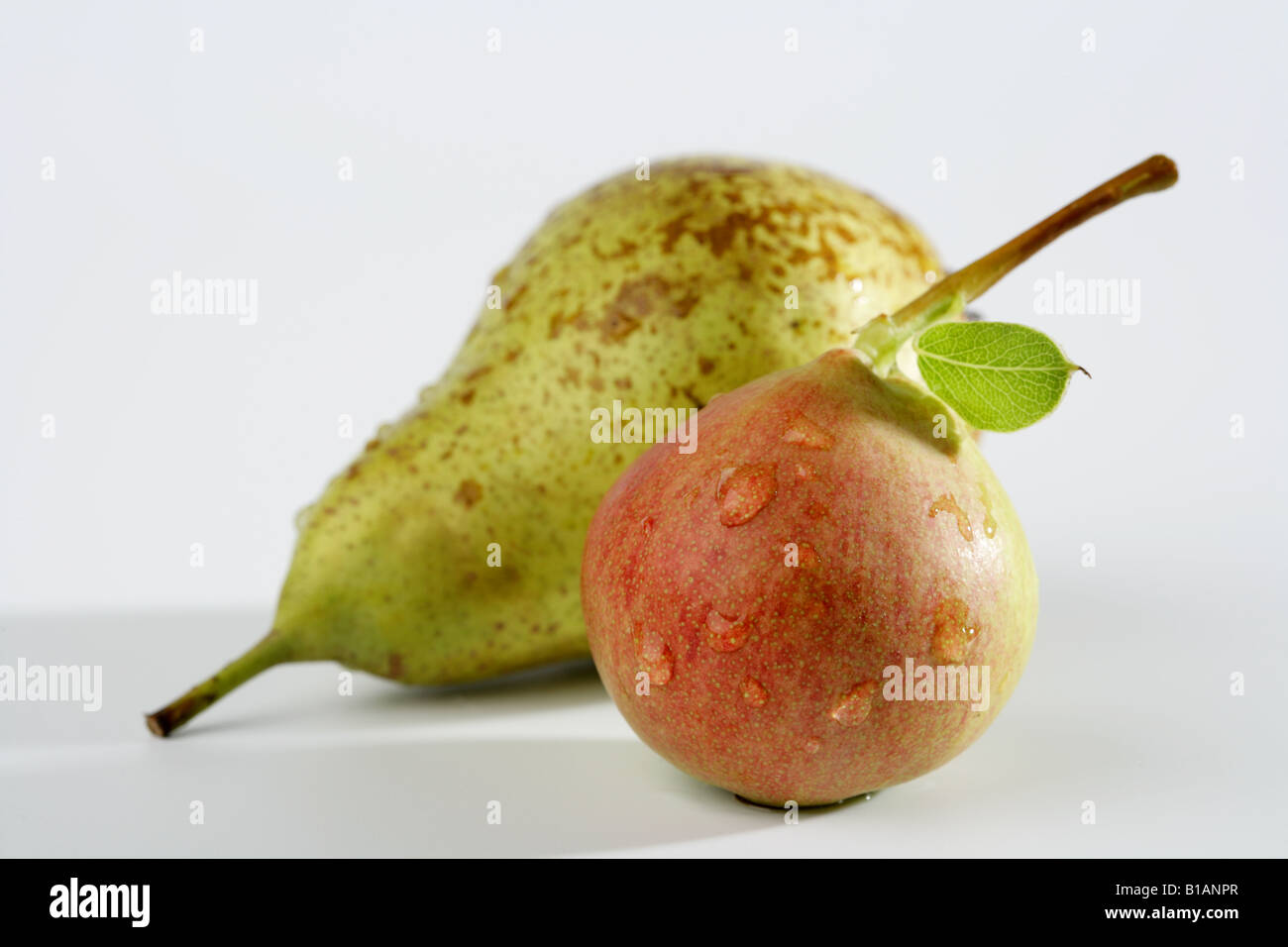 Conferencia pear hi-res stock photography and images - Alamy