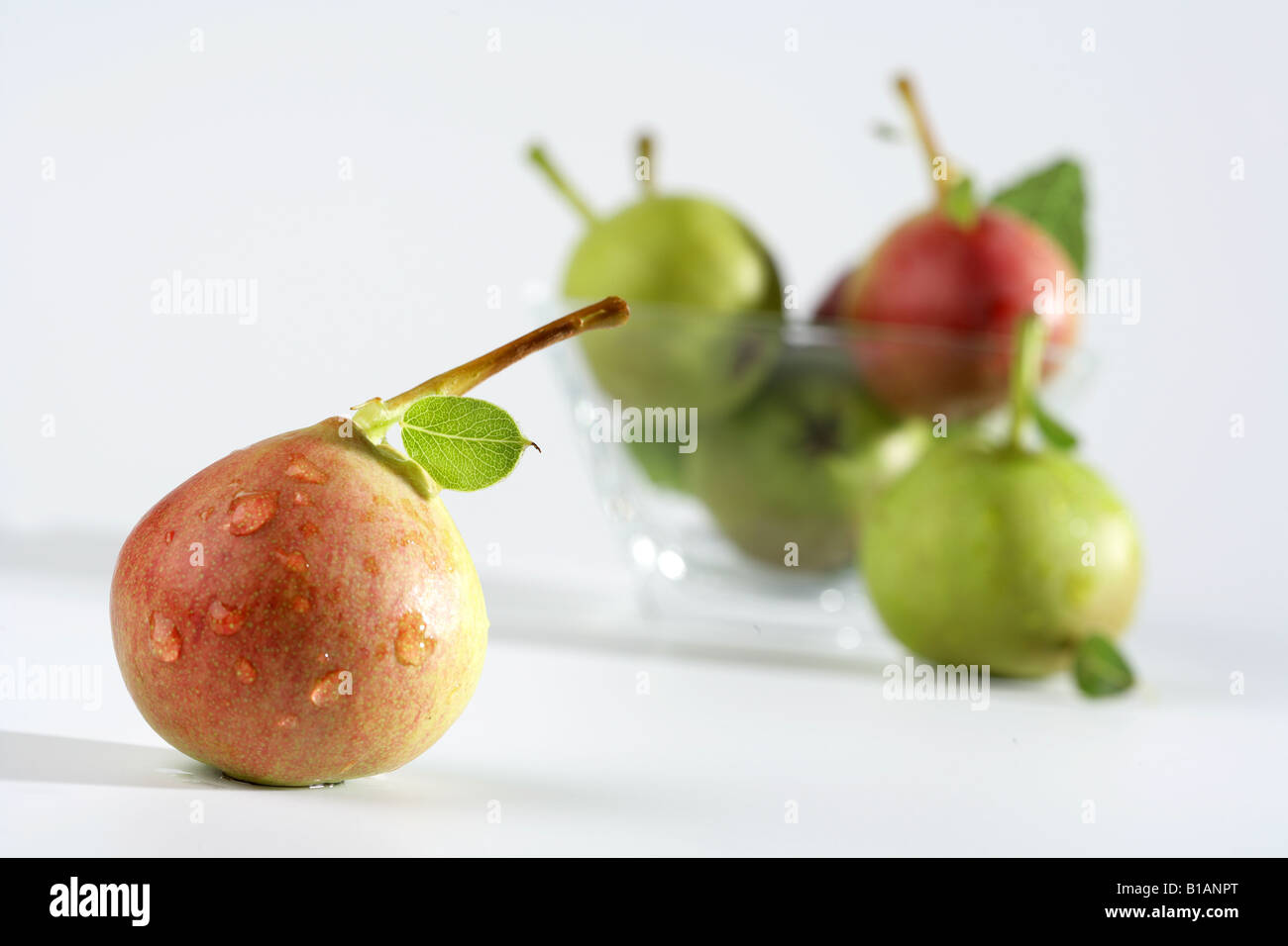 Castell and conference types pears Stock Photo - Alamy