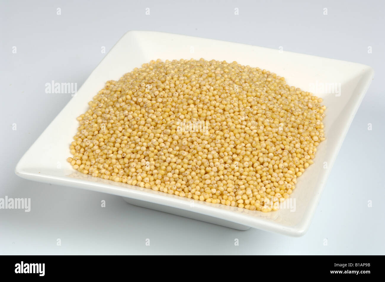 Japanese millet hi-res stock photography and images - Alamy