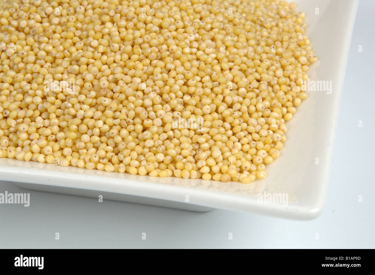 Japanese millet hi-res stock photography and images - Alamy