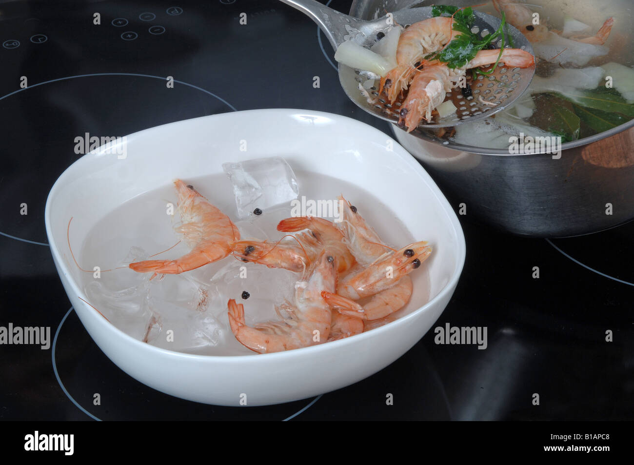 Cooling freshly-boiled seafood in icy salted water Stock Photo - Alamy