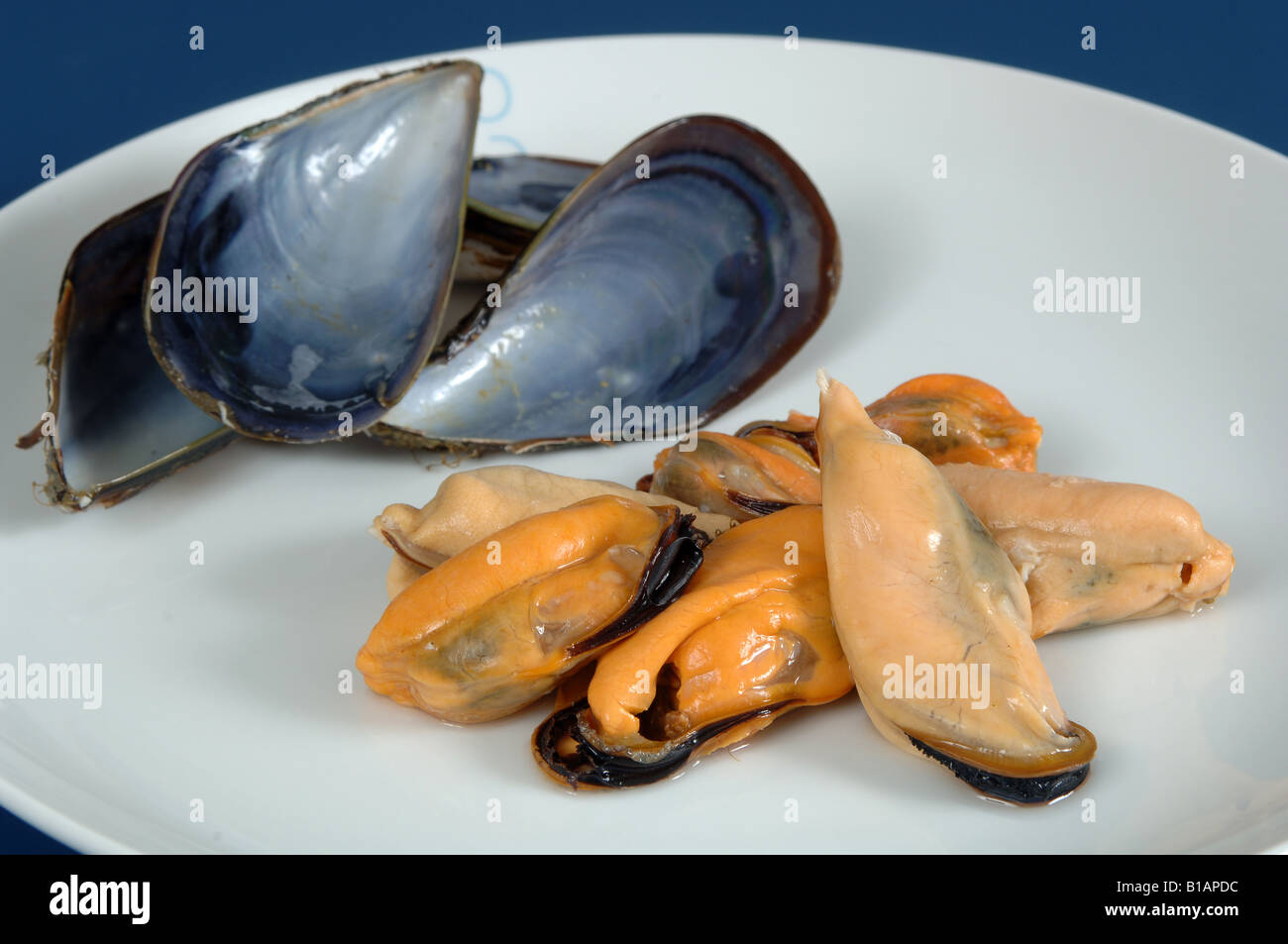 Detaching mussels from shells Stock Photo - Alamy