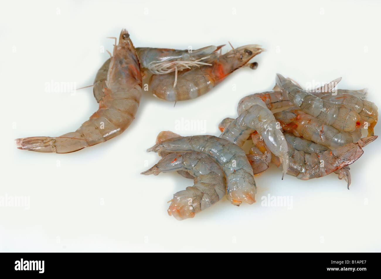 Peeling prawns hi-res stock photography and images - Alamy
