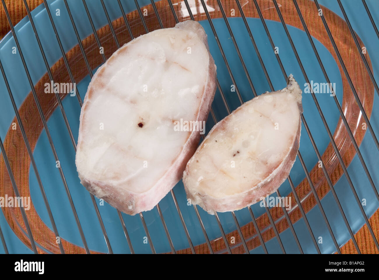 Putting frozen fish fillets on a rack for defrosting Stock Photo - Alamy