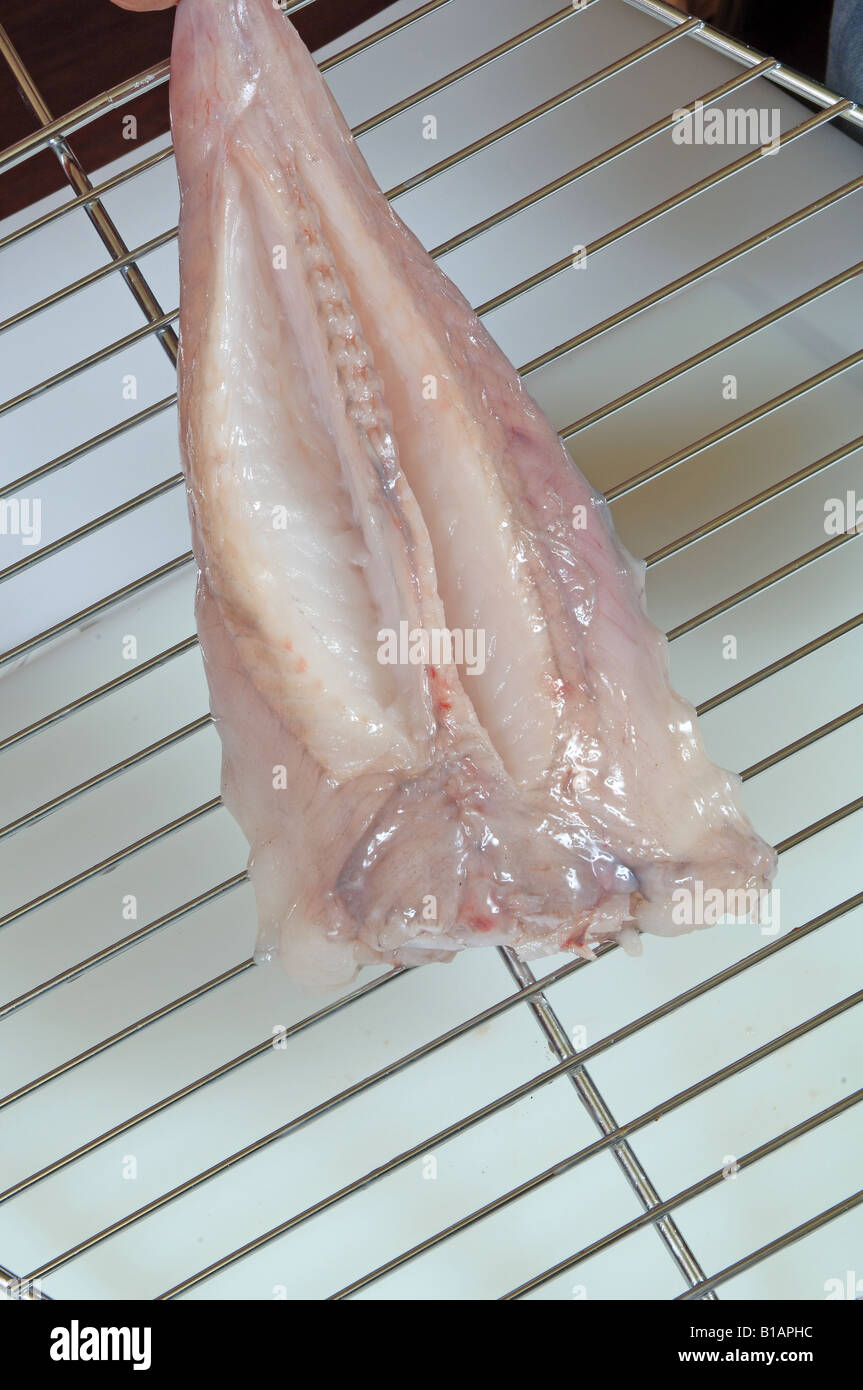Placing monkfish on grill Stock Photo - Alamy