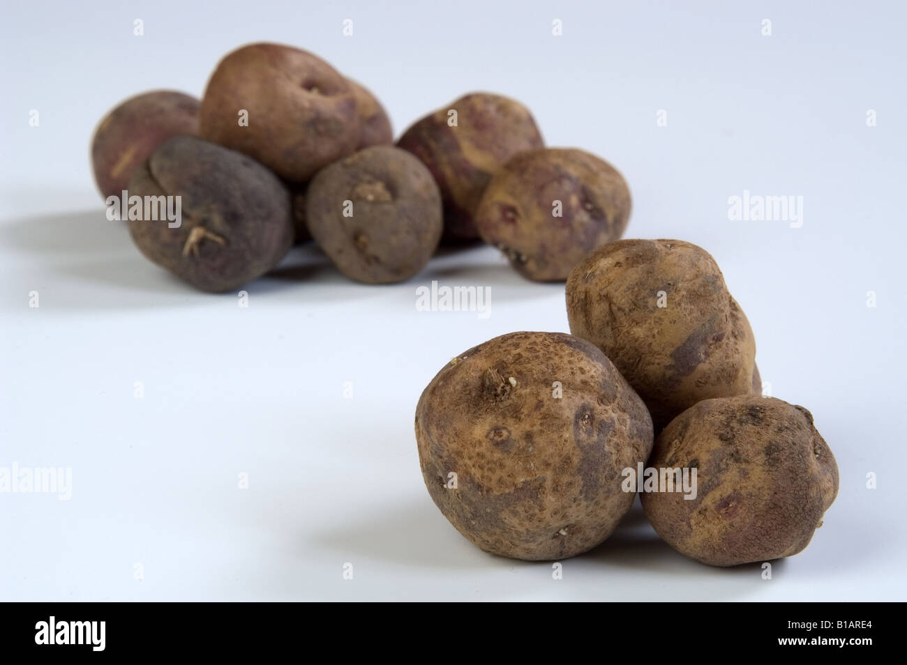Black potatoes from the Canaries Stock Photo - Alamy