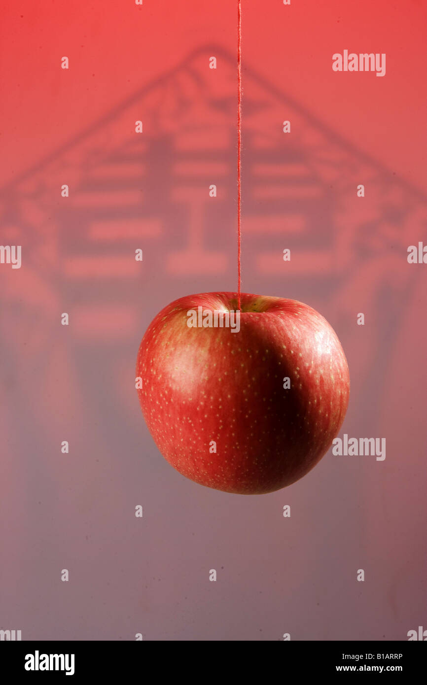 a hanging red apple Stock Photo - Alamy